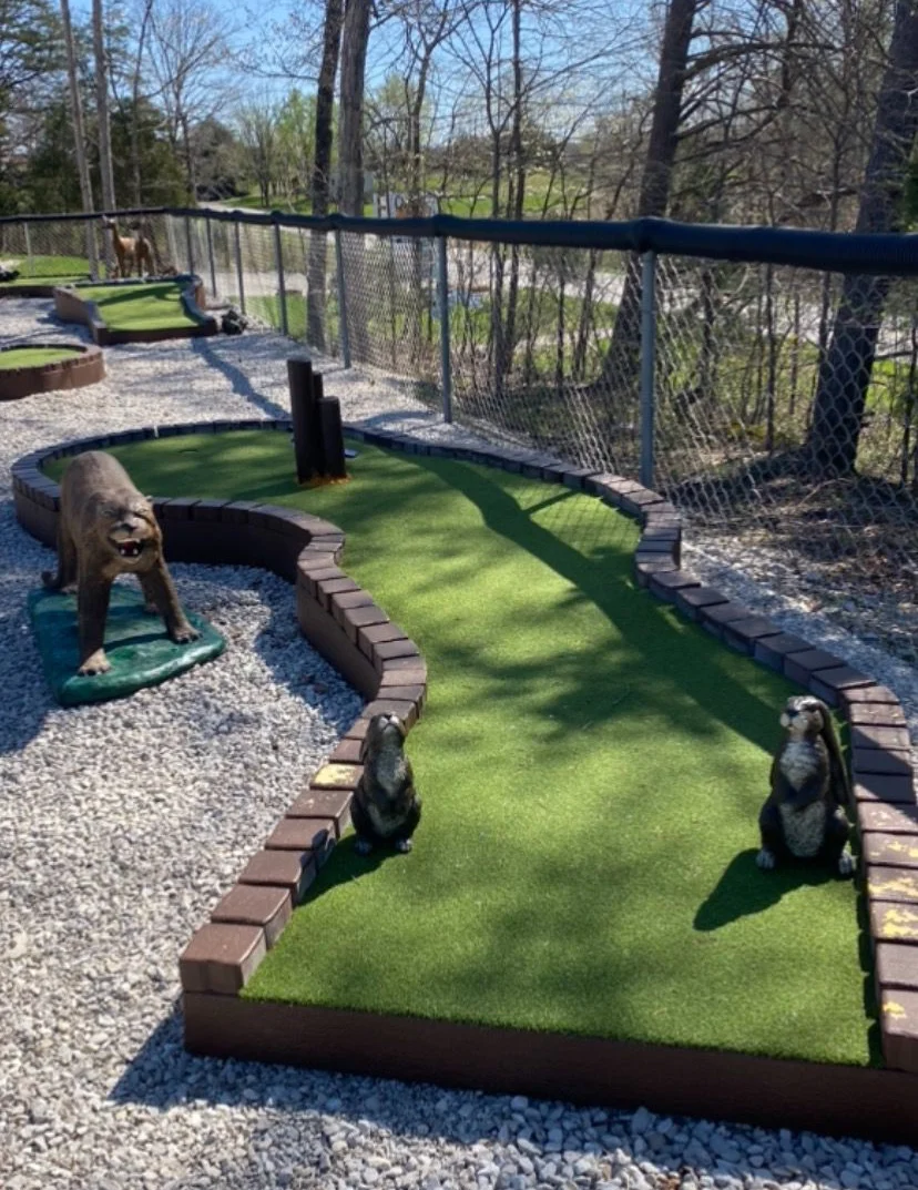 Mini Golf - Quest Wildlife Mini Golf and Outdoor Games